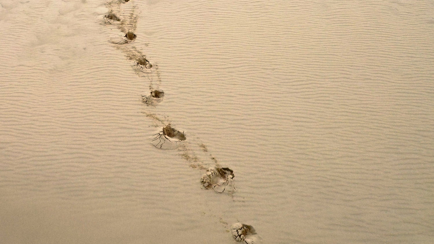 Maison Kargani | Swiss Luxury Fashion, handmade in Italy.